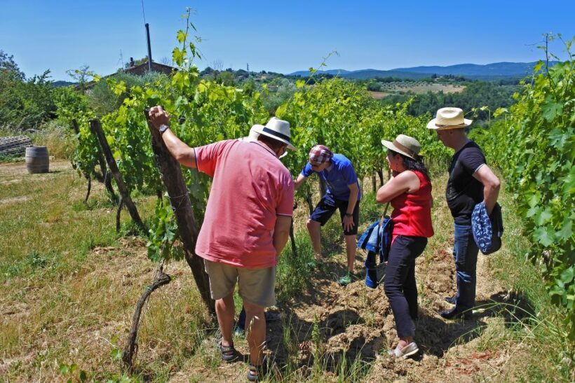 Siena: Educational Wine Tour & Tasting - FAQ