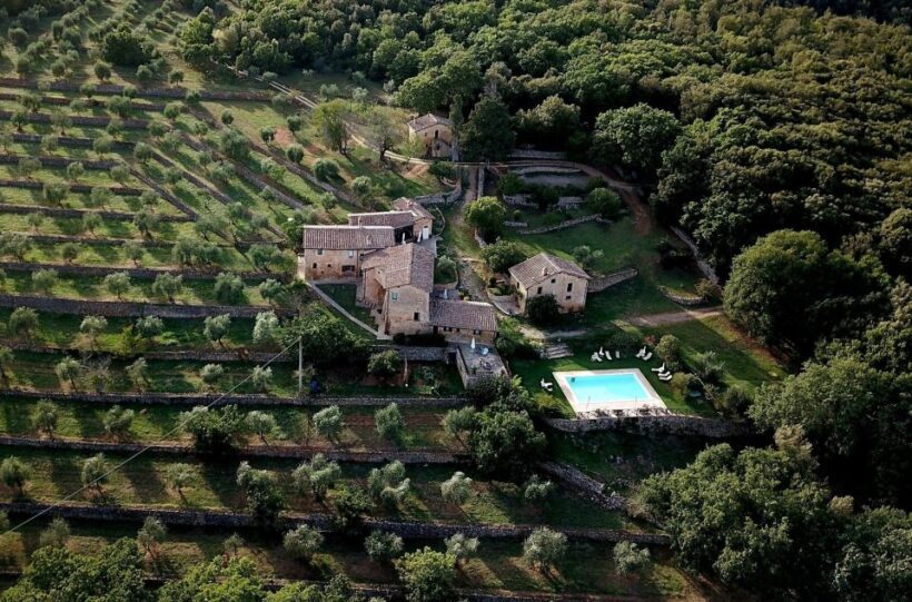 Siena: EVO oil experience with walk, tasting and lunch - A Closer Look at the Experience