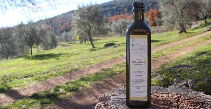 Siena: EVO oil experience with walk, tasting and lunch - Who Should Consider This Tour?
