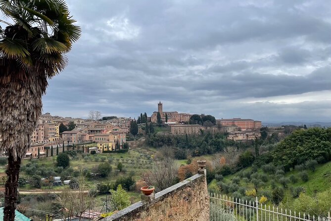 Siena Guided Tour with Cathedral and Optional Crypt & Museum - Who Is This Tour Best For?