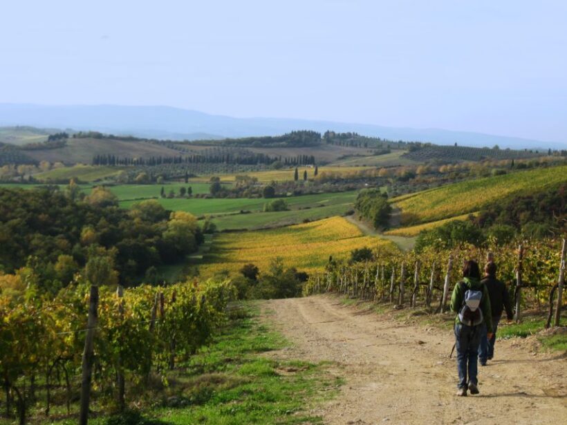 Siena: Half-day Guided Hike to Monteriggioni - A Detailed Look at the Tour