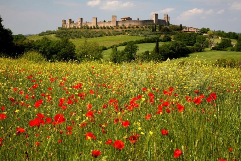 Siena: Half-day Guided Hike to Monteriggioni - FAQs