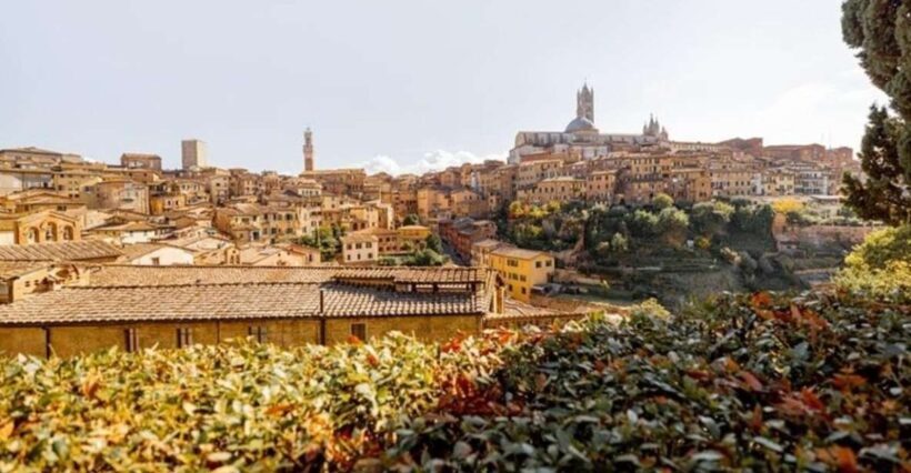 Siena : Highlights Private Walking tour - Key Points
