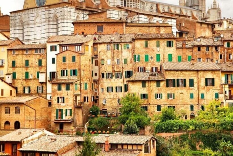 Siena : Highlights Private Walking tour - Discovering Siena’s Heart and Soul: The Tour Experience