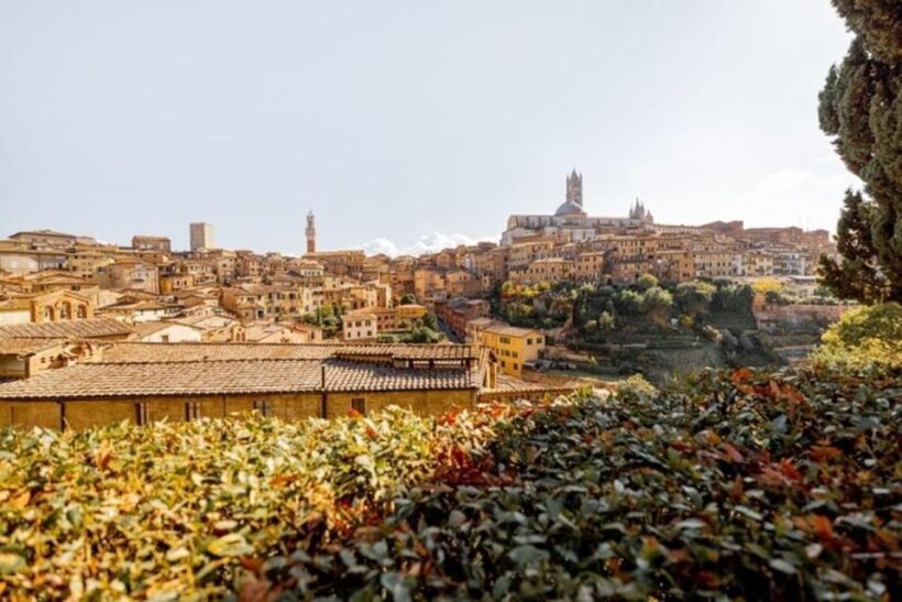 Siena : Highlights Private Walking tour - The Practicalities: What to Expect
