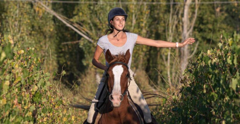 Siena: Horseback Adventure in the Tuscan Countryside - Key Points