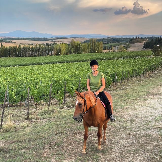 Siena: Horseback Adventure in the Tuscan Countryside - Discovering Tuscany by Horseback