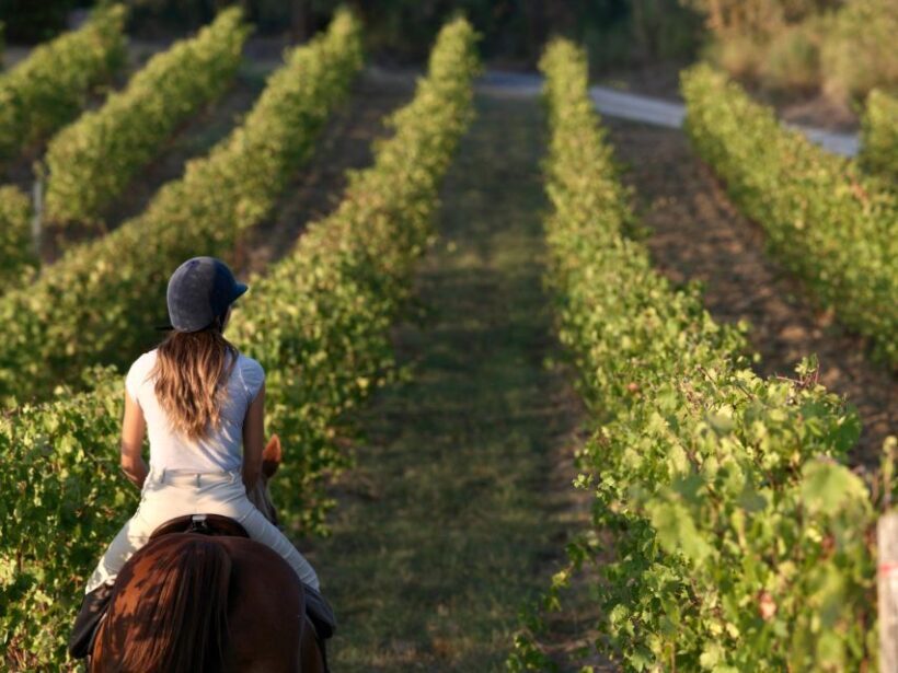 Siena: Horseback Adventure in the Tuscan Countryside - What’s Included and What’s Not