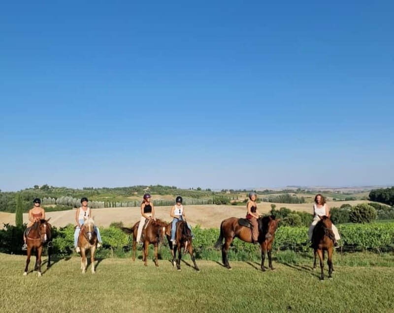 Siena: Horseback Riding Tour in the Tuscany Countryside - Key Points