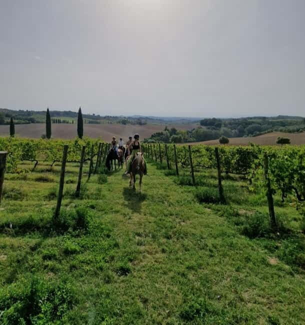 Siena: Horseback Riding Tour in the Tuscany Countryside - Experience Overview