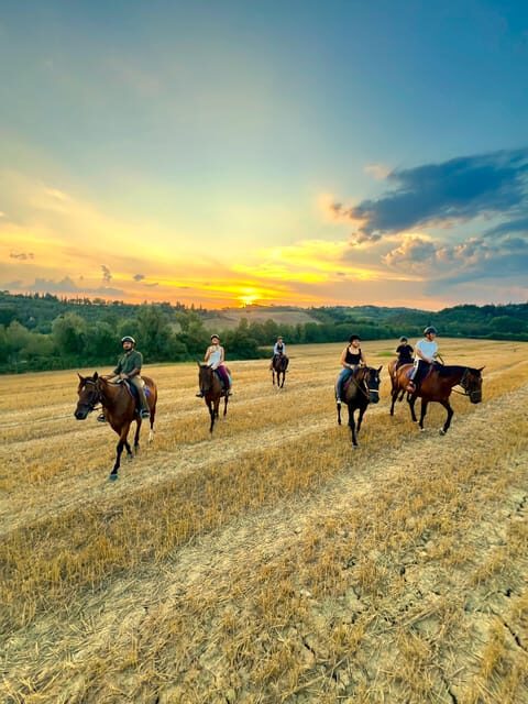 Siena: Horseback Riding with Siena in the background - Siena: Horseback Riding with Siena in the Background — A Practical, Authentic Tuscan Experience