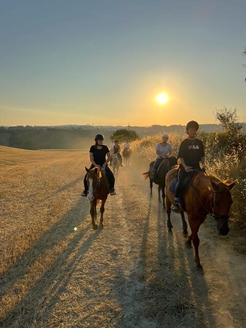 Siena: Horseback Riding with Siena in the background - The Value of the Experience: What Travelers Say