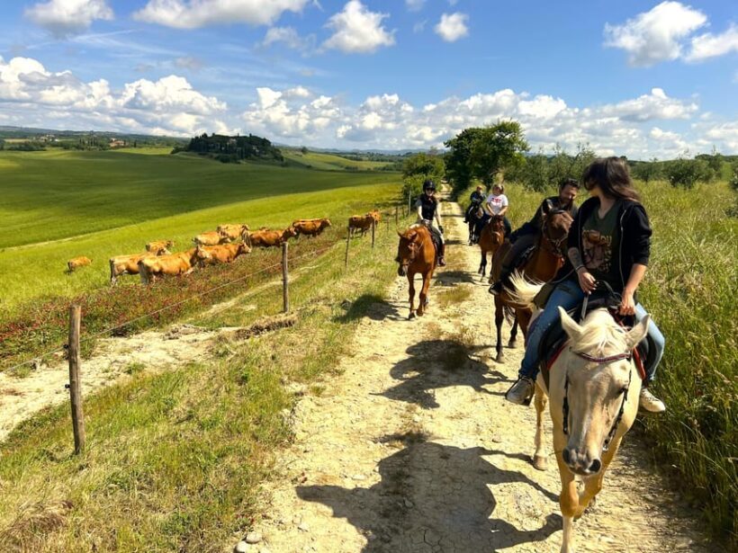 Siena: Horseback Riding with Siena in the background - In The Sum Up: Is This the Right Experience for You?