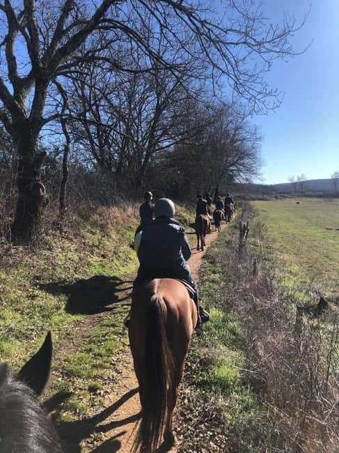 Siena: Horseback Tour on the Via Francigena - An Honest Look at the Horseback Tour in Siena