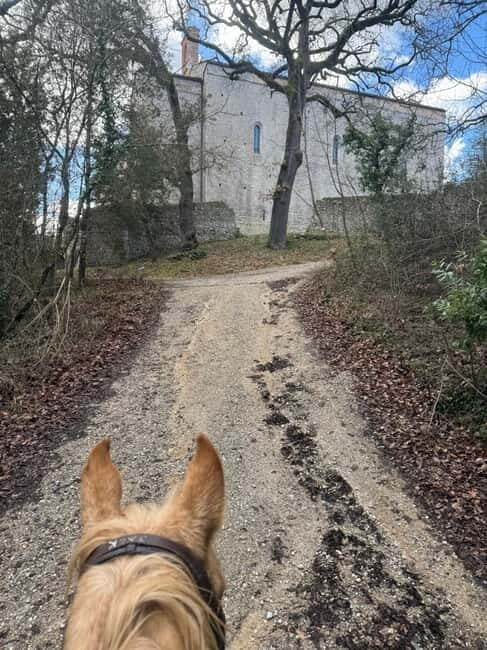 Siena: Horseback Tour on the Via Francigena - Who Will Love This Tour?
