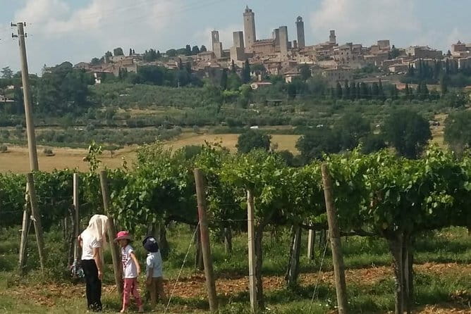 Siena Monteriggioni San Gimignano with Lunch&WineTasting Fullday from Florence - Return to Florence