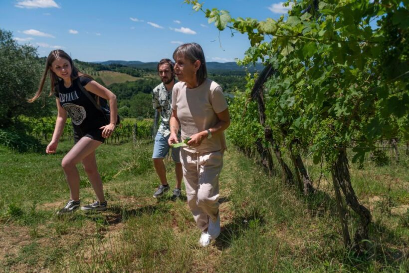 Siena: Organic Winery Tour and Wine Tasting - Key Points