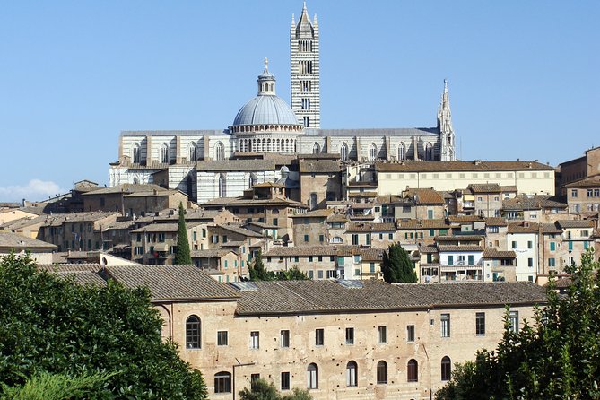 Siena private guided tour for families - The Sum Up: Who Should Book This Tour?