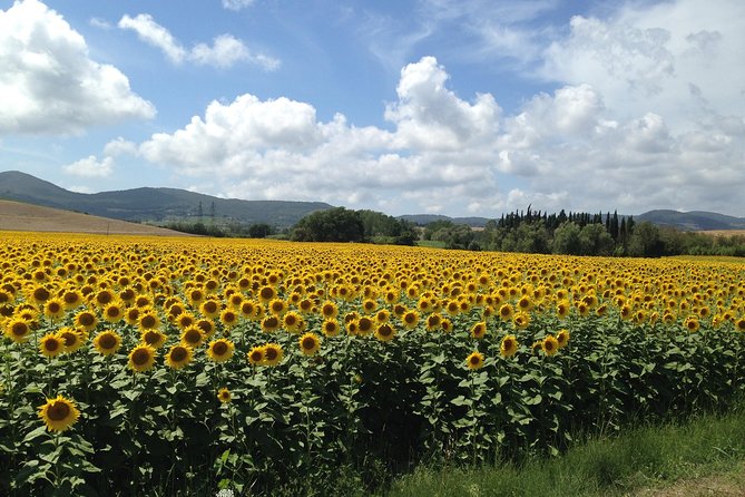 Siena, San Gimignano and Pisa from Lucca - Final Summary