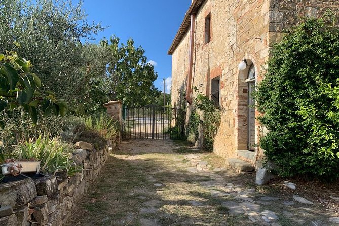 Siena: Small Group Cooking Class in Chianti Farmhouse - Complimentary Inclusions