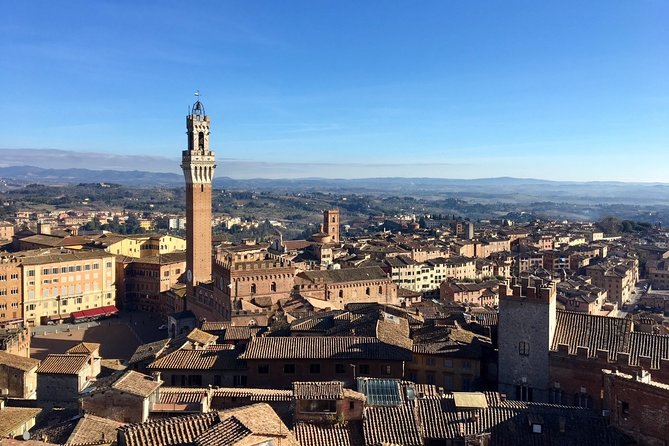 Siena Tour and Exclusive Window on Piazza Del Campo - Customer Feedback and Ratings