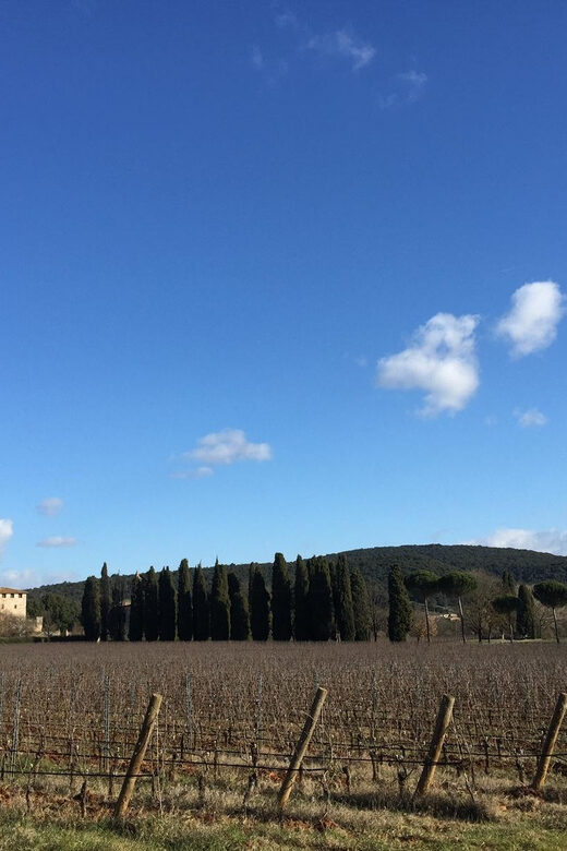 Siena: Tour and Wine Tasting in a Tuscan Private Castle - Exploring the Castello Poggiarello Experience
