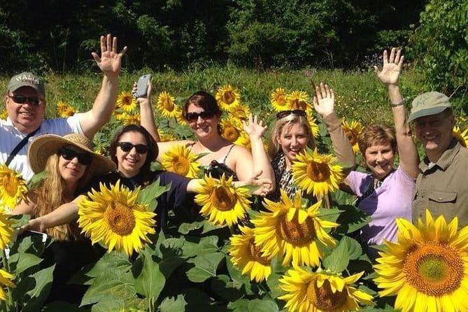 Siena & Tuscany - Siena & Tuscany: An Authentic Day Trip from Florence