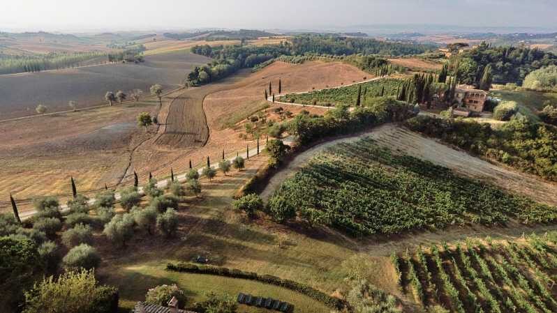 Siena: Winery tour/tasting with owner/maker of awarded wines - Key Points