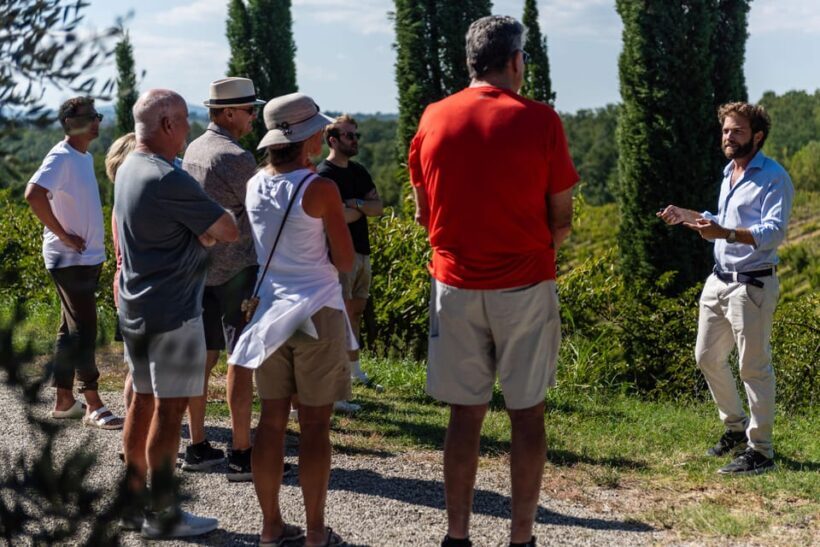 Siena: Winery tour/tasting with owner/maker of awarded wines - Who Will Love This Experience?