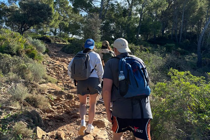 Sierra de Tramuntana hike with transportation and small picnic - The Experience from the Travelers Perspective