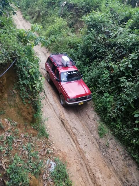 Sierra Minca Day Tour - The Sum Up