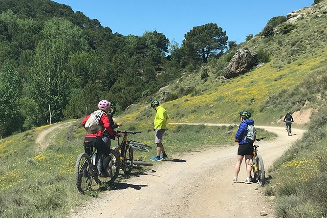Sierra Nevada Ebike Tour Small Group Review - Participant Feedback and Highlights