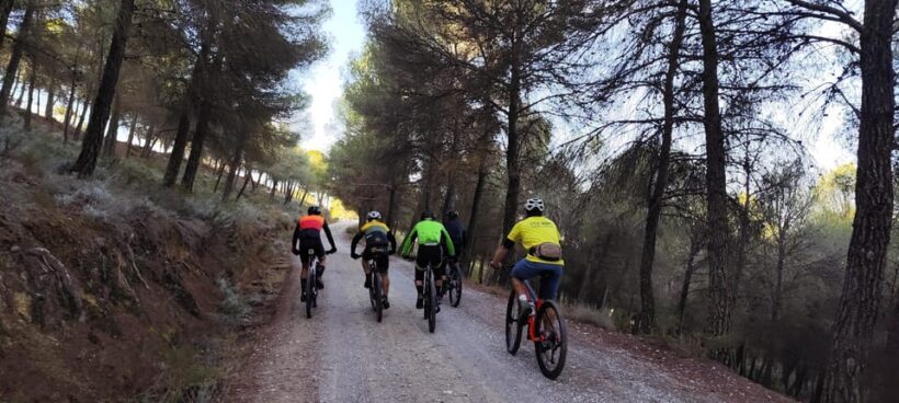 Sierra Nevada Small Group BIKE Tour - The Sum Up: Is It Worth It?