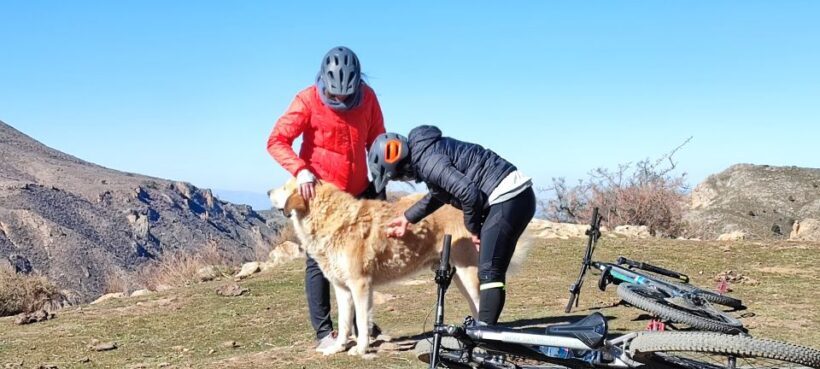Sierra Nevada Small Group E-Bike Tour - Final Thoughts