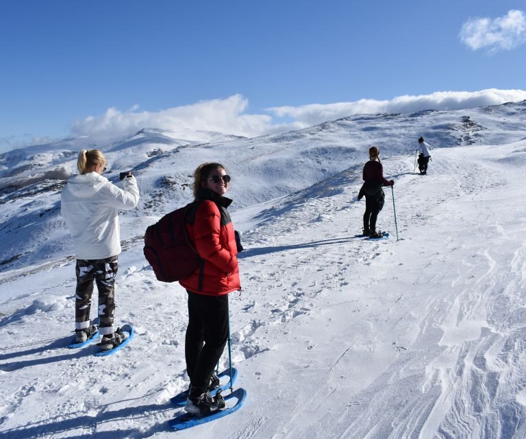 Sierra Nevada: Snowshoe Hiking Tour - An Overview of the Snowshoe Adventure