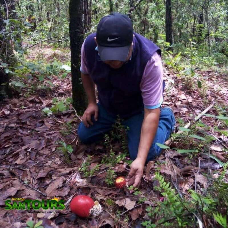 Sierra Norte: Eco Adventure Tour - What’s Included and What to Consider