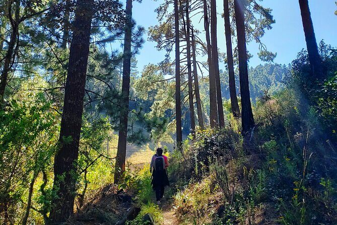 Sierra Norte Hike and Indigenous Village Full-Day Adventure - What Travelers Are Saying