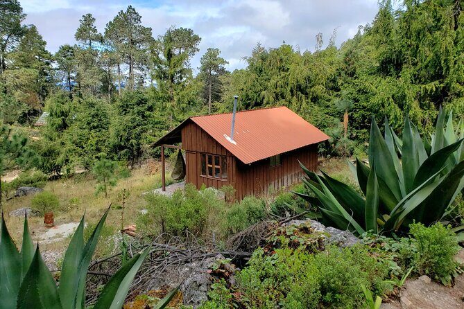 Sierra Norte Hike and Indigenous Village Full-Day Adventure - Analyzing Value and Practical Considerations