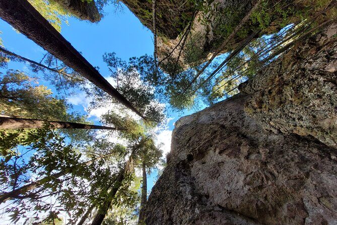 Sierra Norte Hike and Indigenous Village Full-Day Adventure - The Sum Up