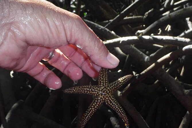 Siesta Key Guided Eco Tour - Guides and Customer Feedback