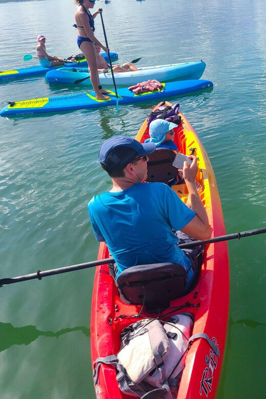 Siesta Key: Mangrove Kayak or Paddleboard Tour - Final Thoughts: Is It Worth It?