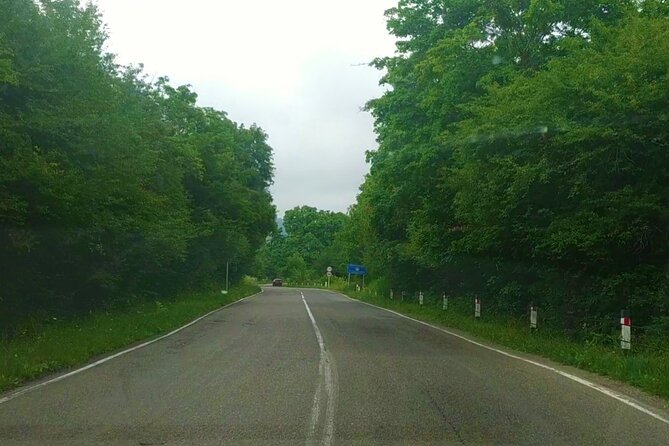 Sighnaghi Tour from Tbilisi with David Gareji Lavra & Bodbe Monastery - Key Points