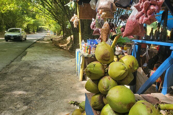 Sight seeing tour through the hills of JAMAICA - A Deep Dive into Jamaica’s Hills Tour
