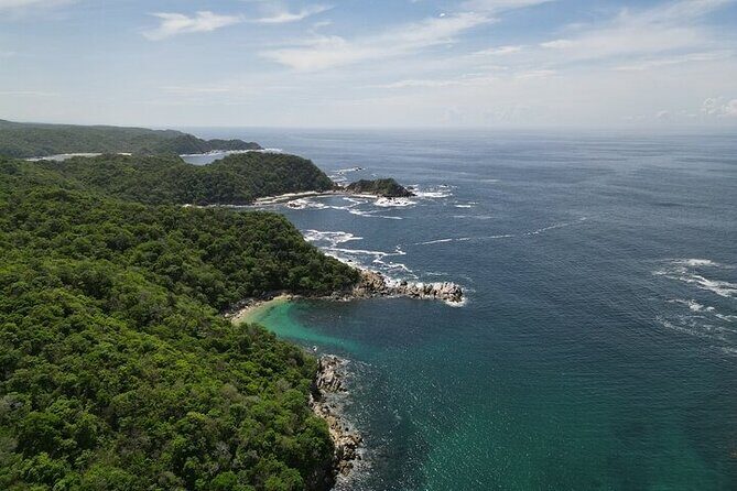 Sighting DE Marine Mammals and Snorkeling - A Closer Look at the Tour Experience