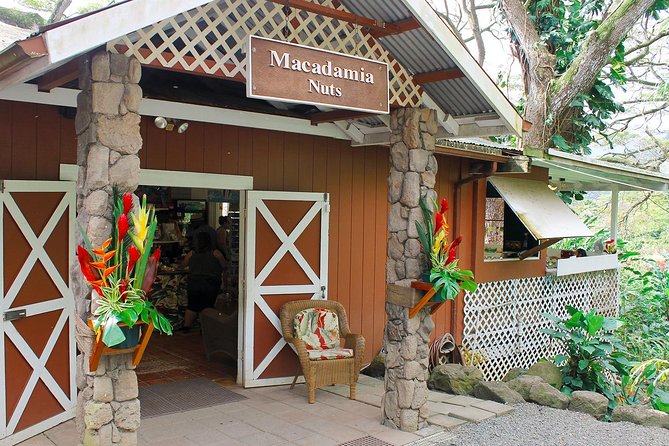 Sights & Bites Island Tour - Who Should Consider This Tour?