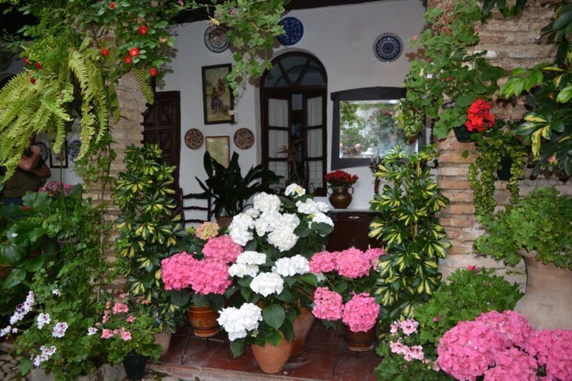Sights, Sounds, and Scents of Córdoba's Patios - An In-Depth Look at the Sights and Sounds of Córdoba’s Patios