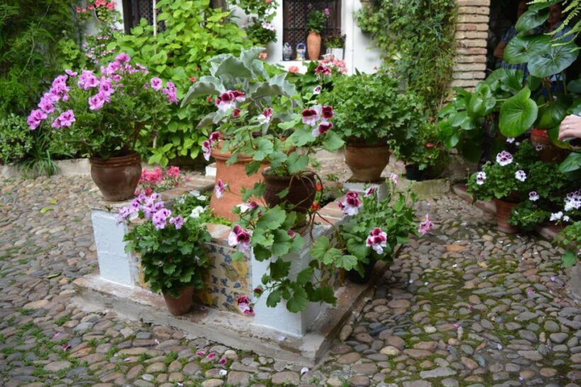 Sights, Sounds, and Scents of Córdoba's Patios - FAQ