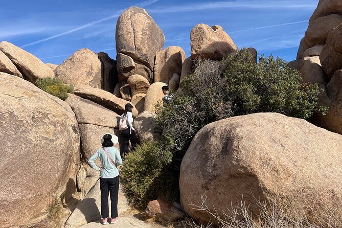 Sightseeing Adventure Tour of Joshua Tree National Park - Key Points
