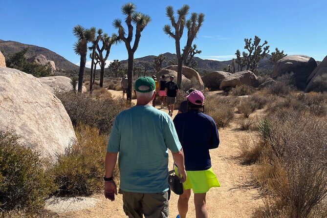 Sightseeing Adventure Tour of Joshua Tree National Park - An In-Depth Look at the Tour Itinerary