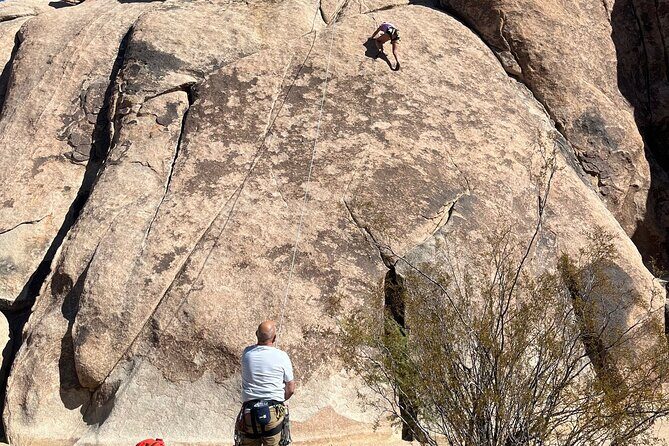 Sightseeing Adventure Tour of Joshua Tree National Park - The Experience of the Guides